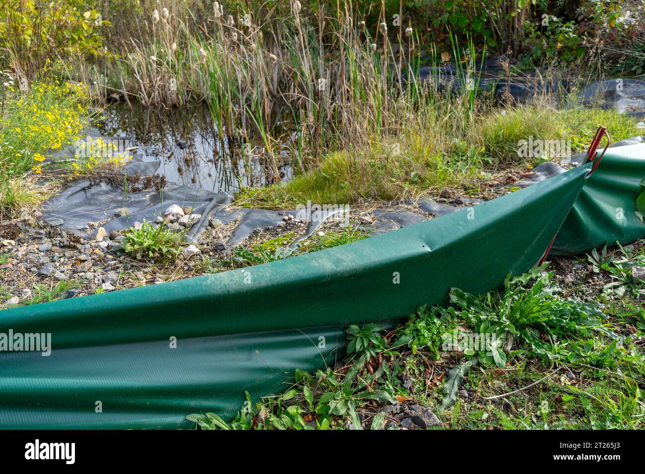 Protective fence for frogs at a pond Stock Photo - Alamy
