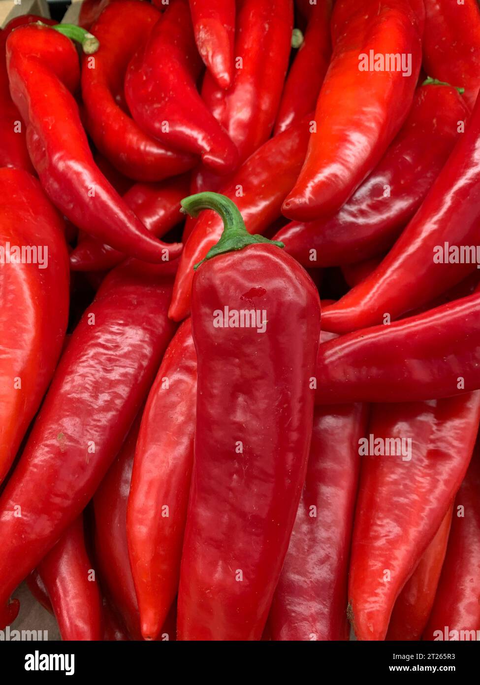 spice seasoning red pepper food as background Stock Photo - Alamy