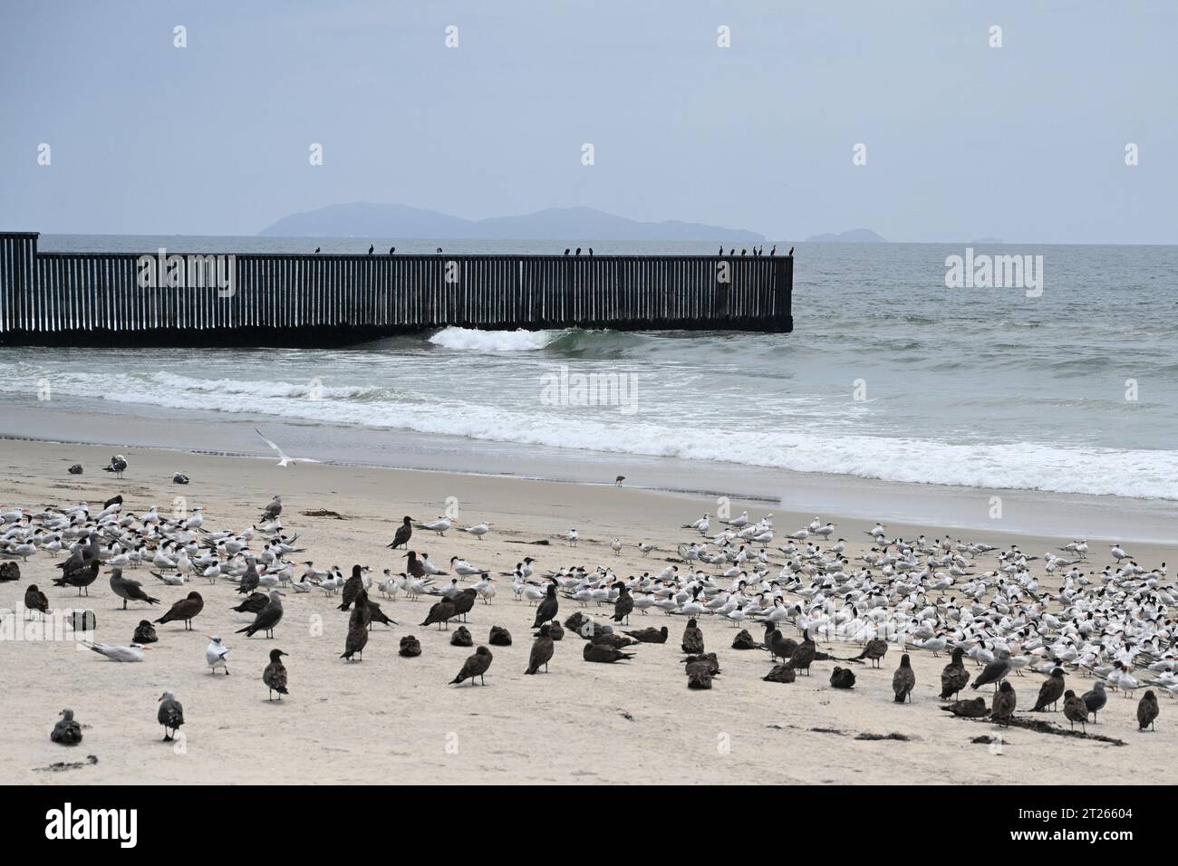 A fence on the United States - Mexico border where it meets the Pacific ...