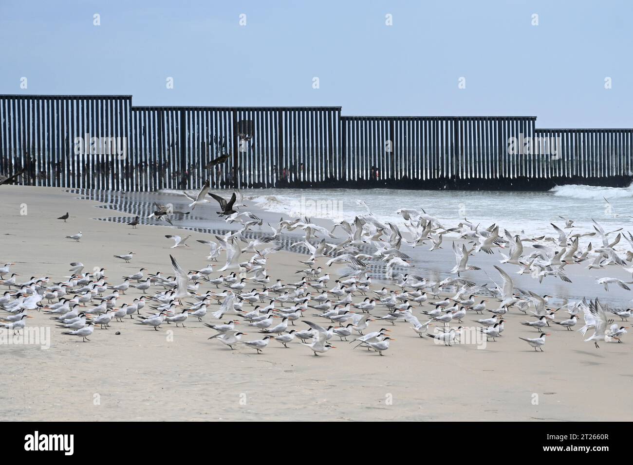 A fence on the United States - Mexico border where it meets the Pacific ...