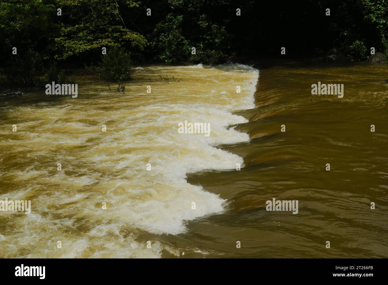 Rivers are flooded during monsoon season in Kerala Stock Photo - Alamy