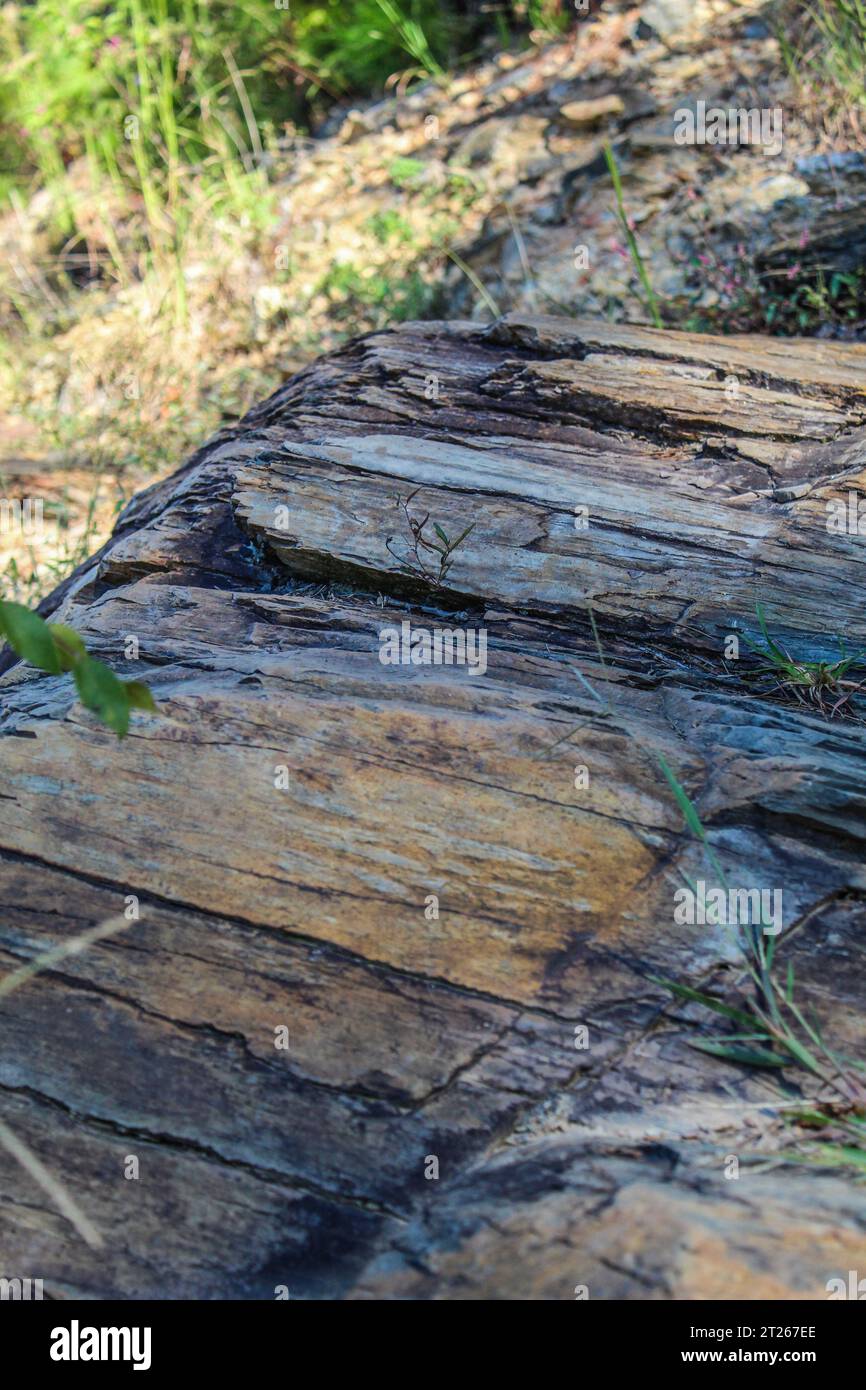 Broken layers hi-res stock photography and images - Alamy