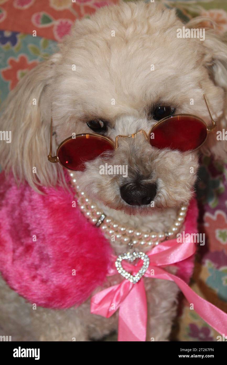 Colored miniature hi-res stock photography and images - Alamy