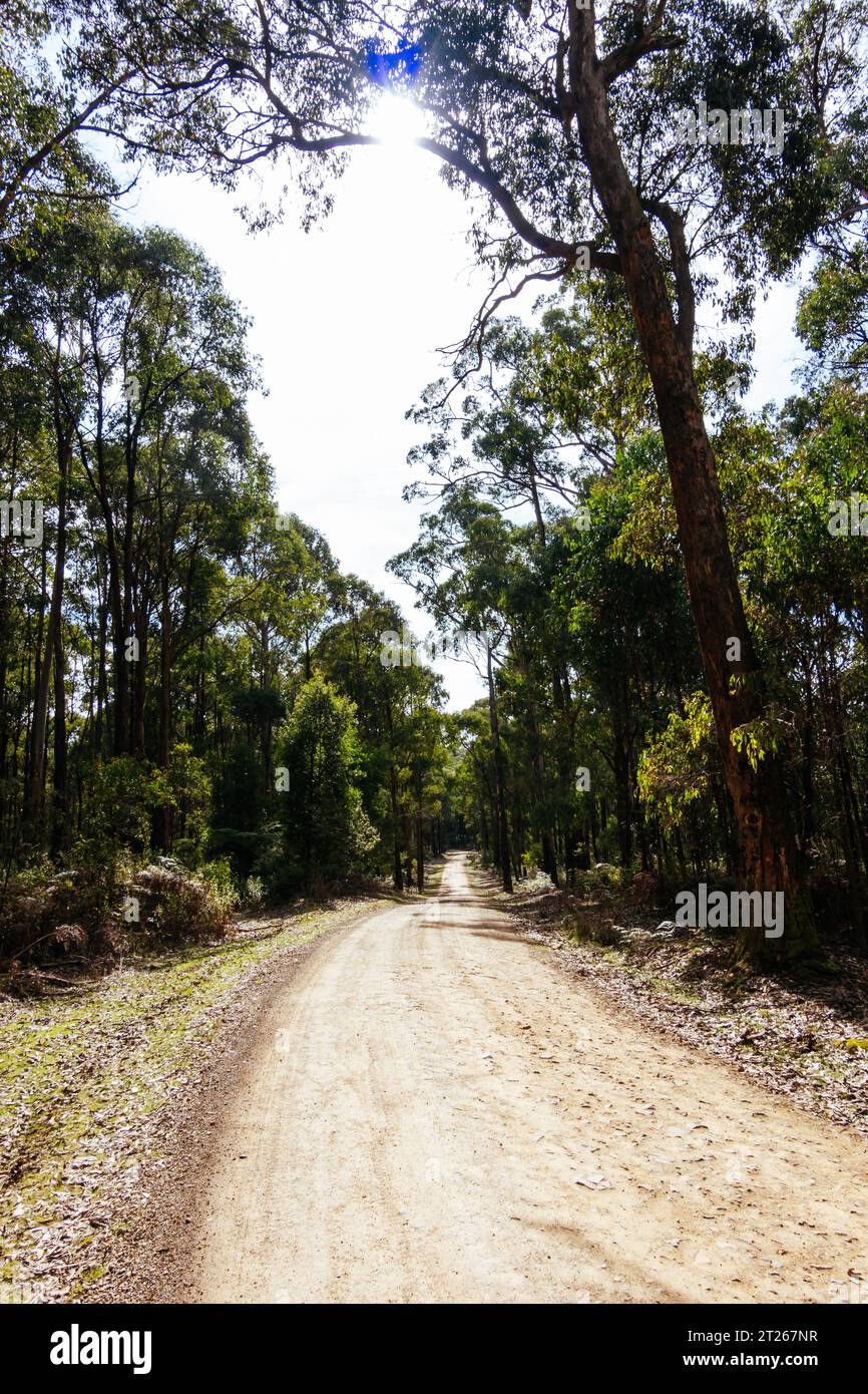 Victorian Rural Country Landscape in Australia Stock Photo - Alamy