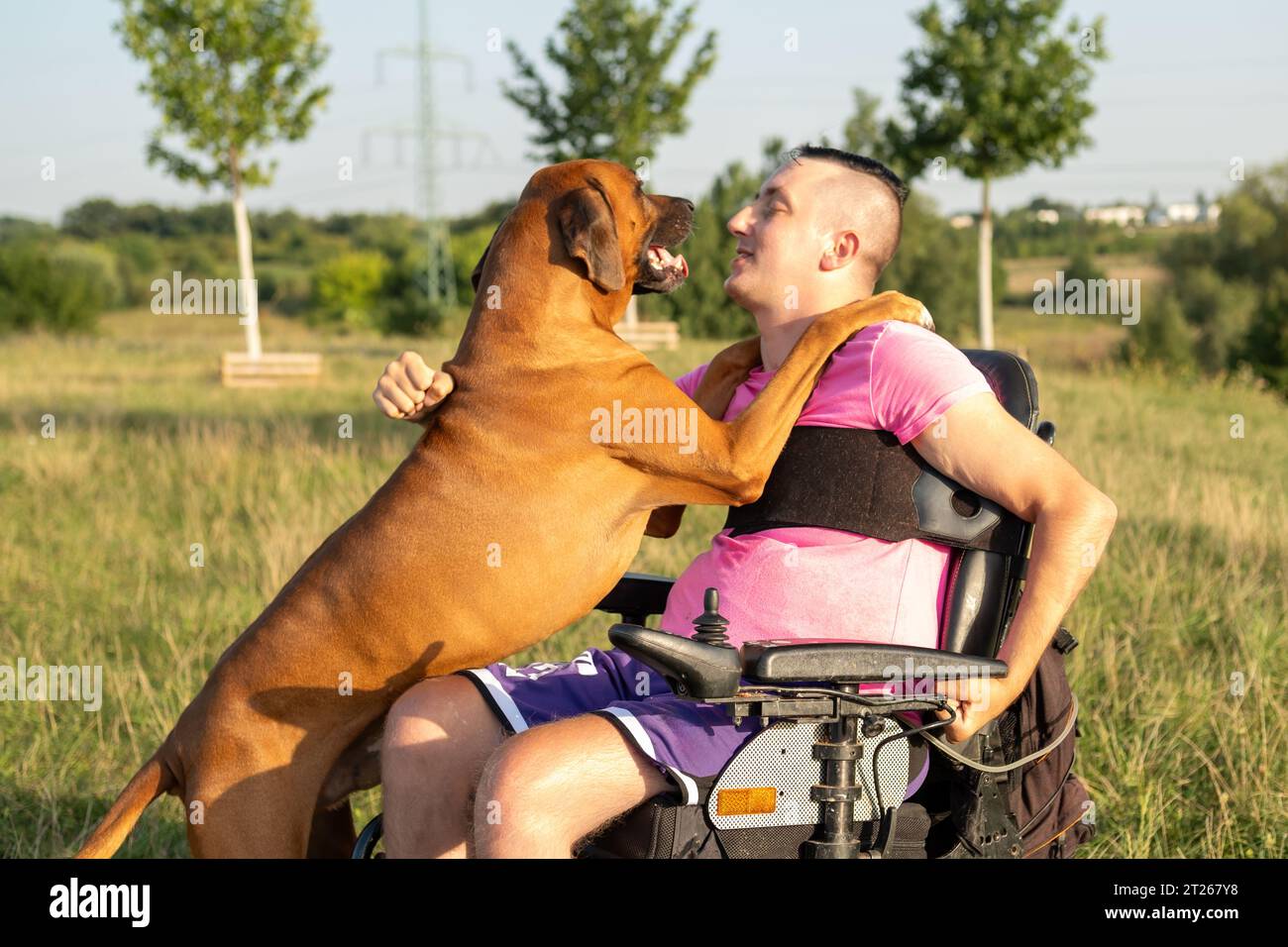A youthful guy using a wheelchair participates in playful interactions ...