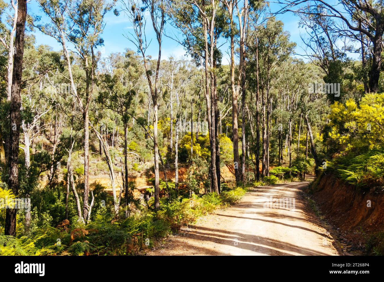 Victorian Rural Country Landscape in Australia Stock Photo - Alamy