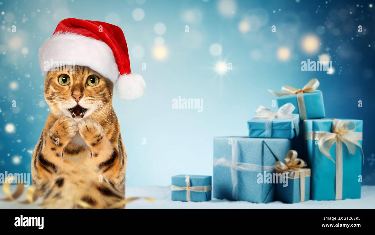 Bengal cat wearing Santa hat, Christmas concept, holiday background ...