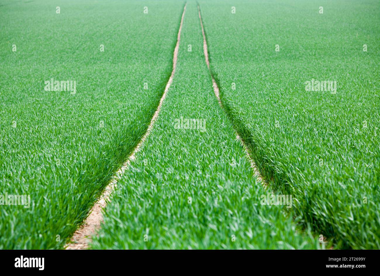 Modern structure in landscape hi-res stock photography and images - Alamy