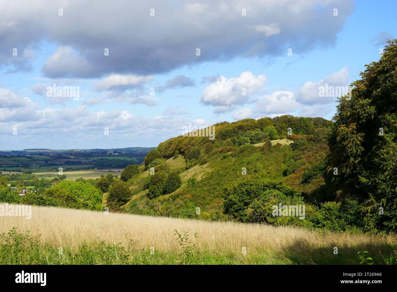 Sharpenhoe nature reserve hi-res stock photography and images - Alamy