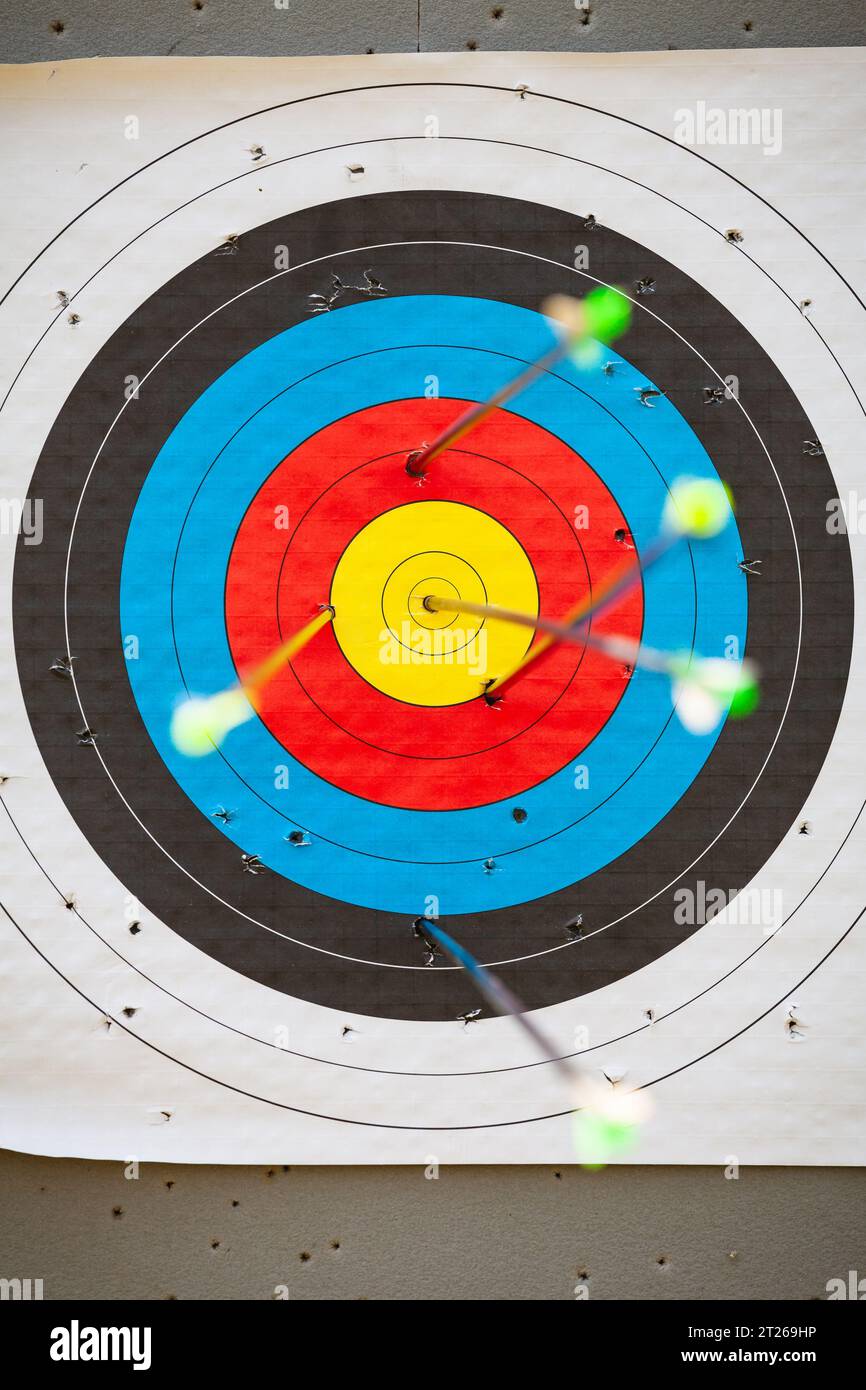 Standard archery target pierced by arrows with one hit the bullseye ...