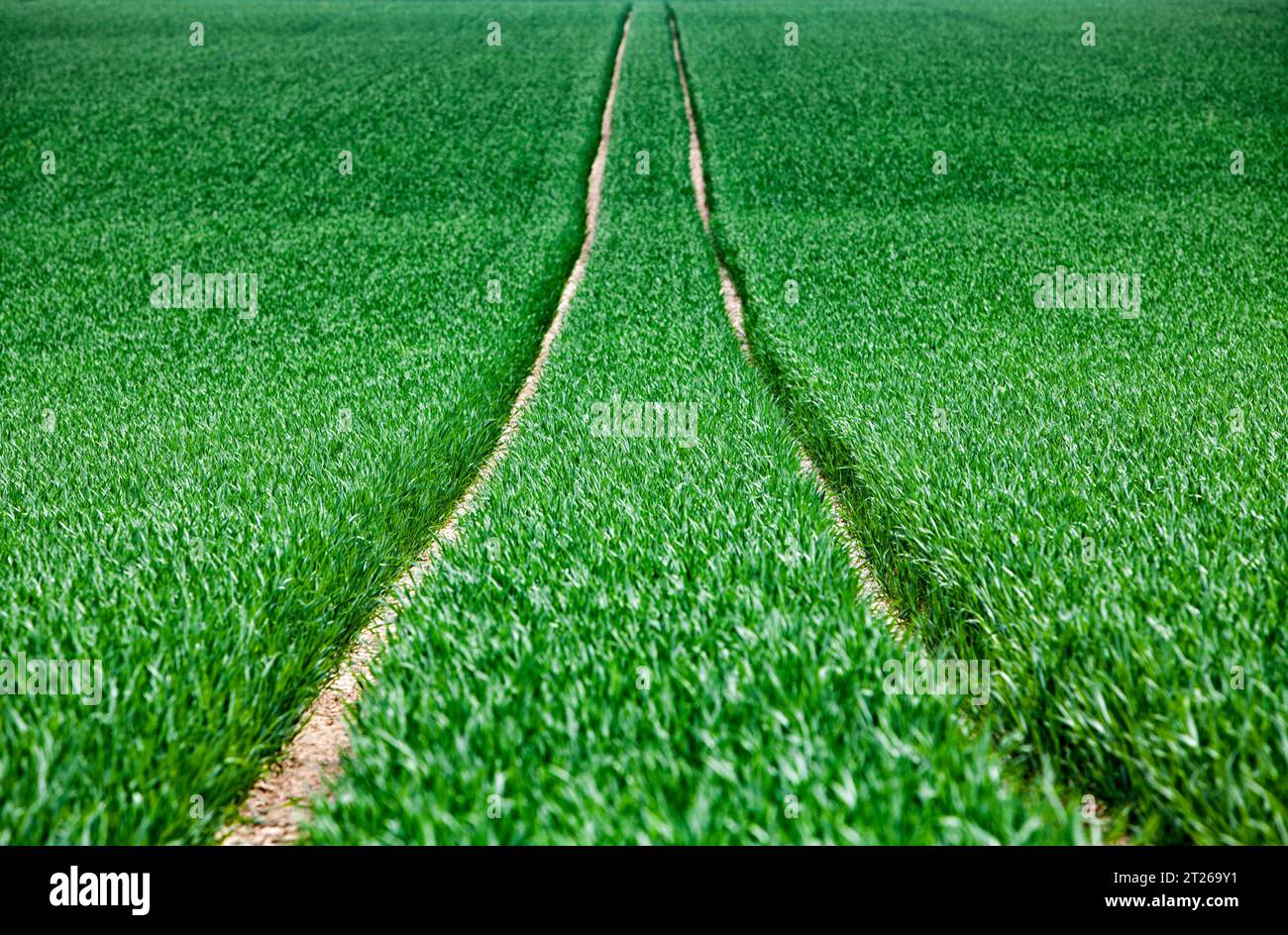 landscape with a way Stock Photo - Alamy