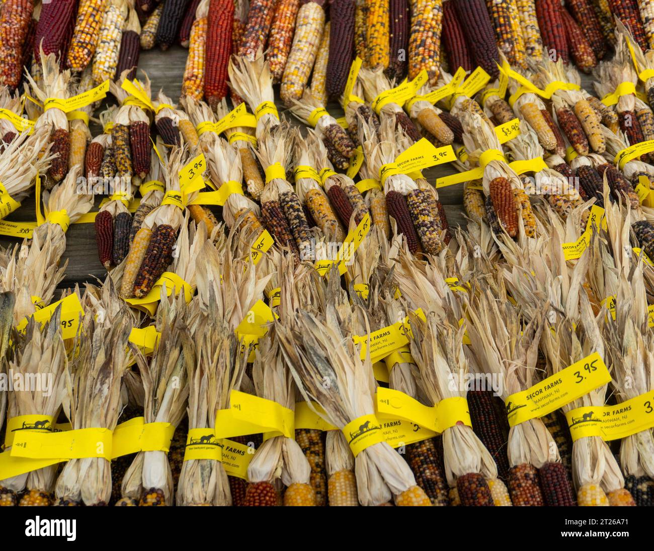 Dried corn husks for sale at a farm stand Stock Photo - Alamy