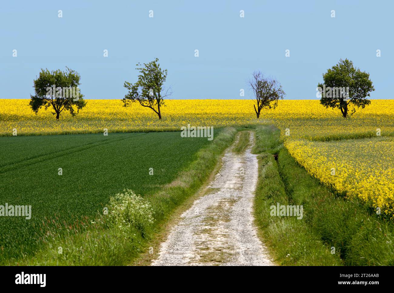 landscape with a way Stock Photo - Alamy