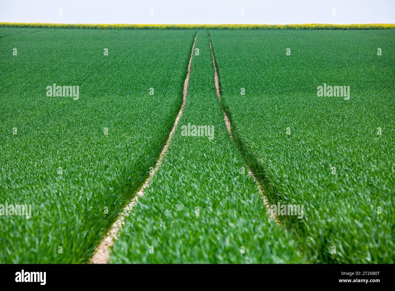 landscape with a way Stock Photo - Alamy
