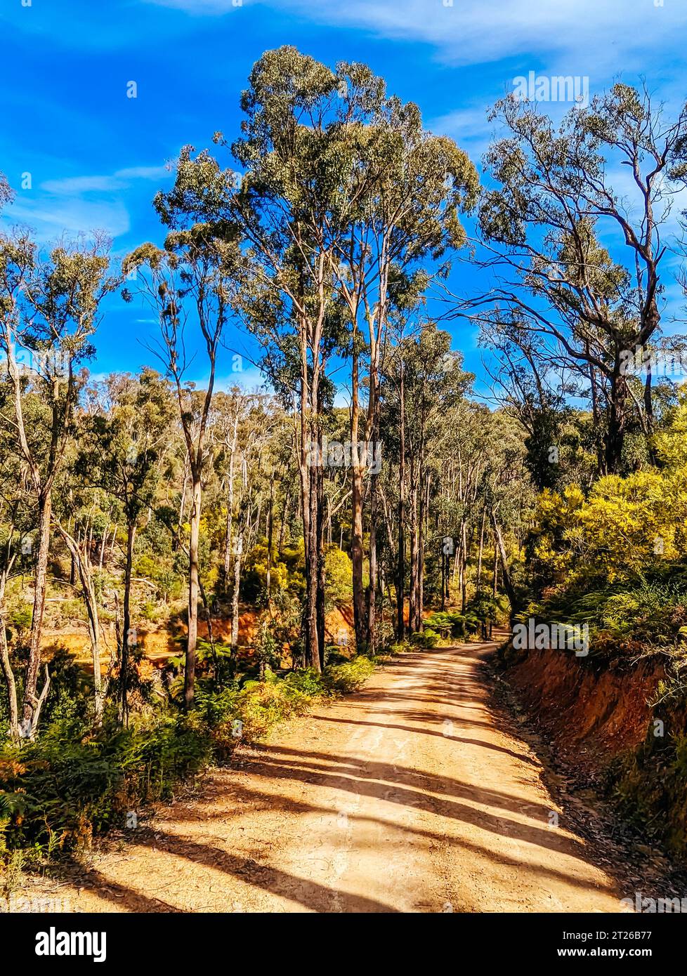 Victorian Rural Country Landscape in Australia Stock Photo - Alamy