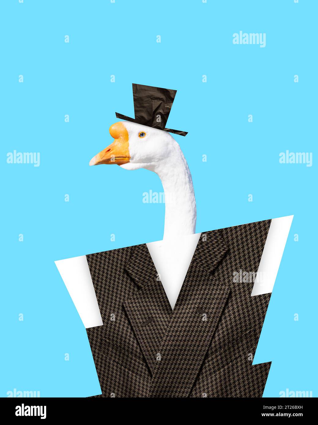Gentleman. Goose wearing classical suit vest and cylinder hat over blue ...
