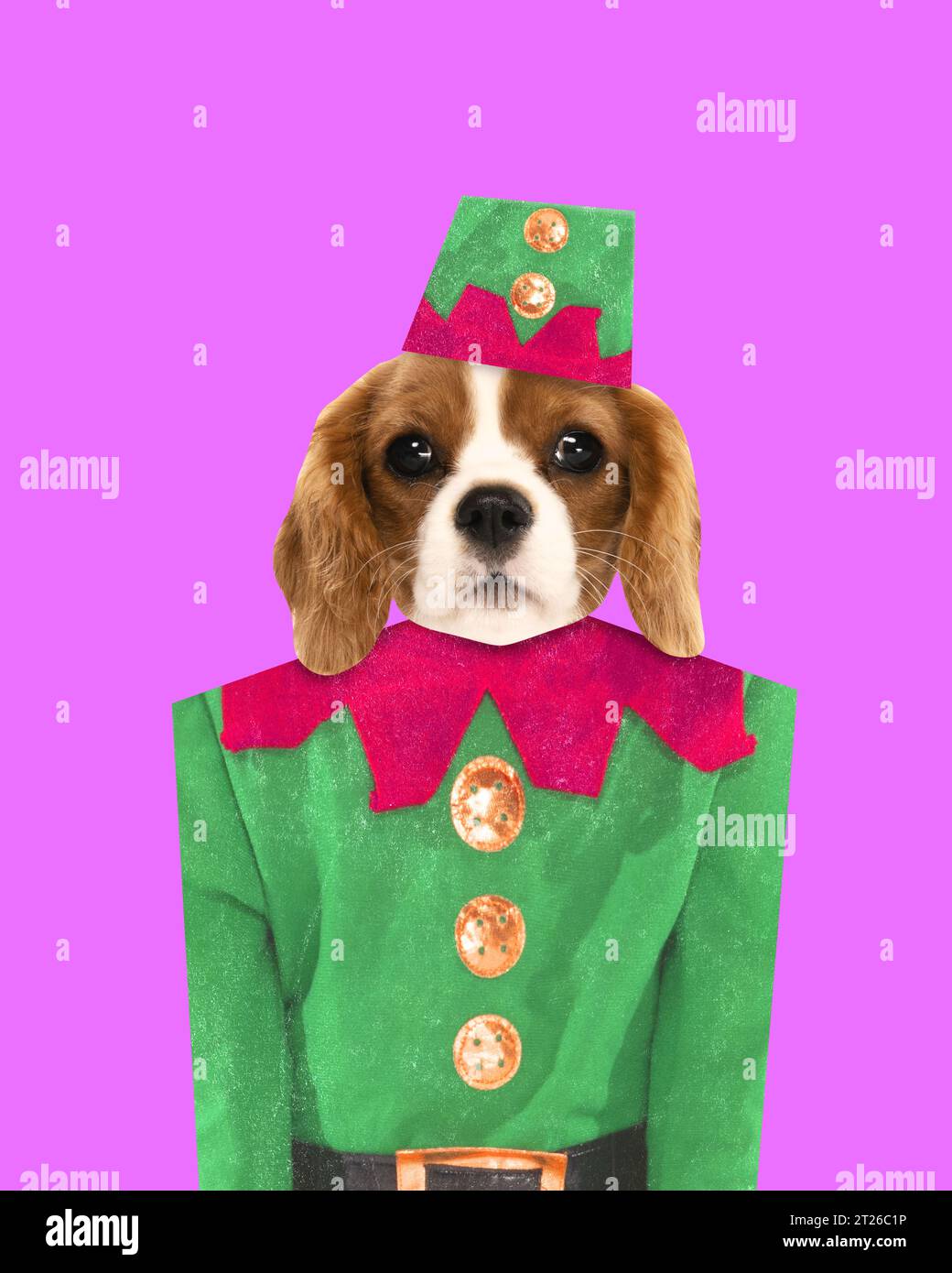 Little Christmas elf. Dog wearing costume over pink background ...