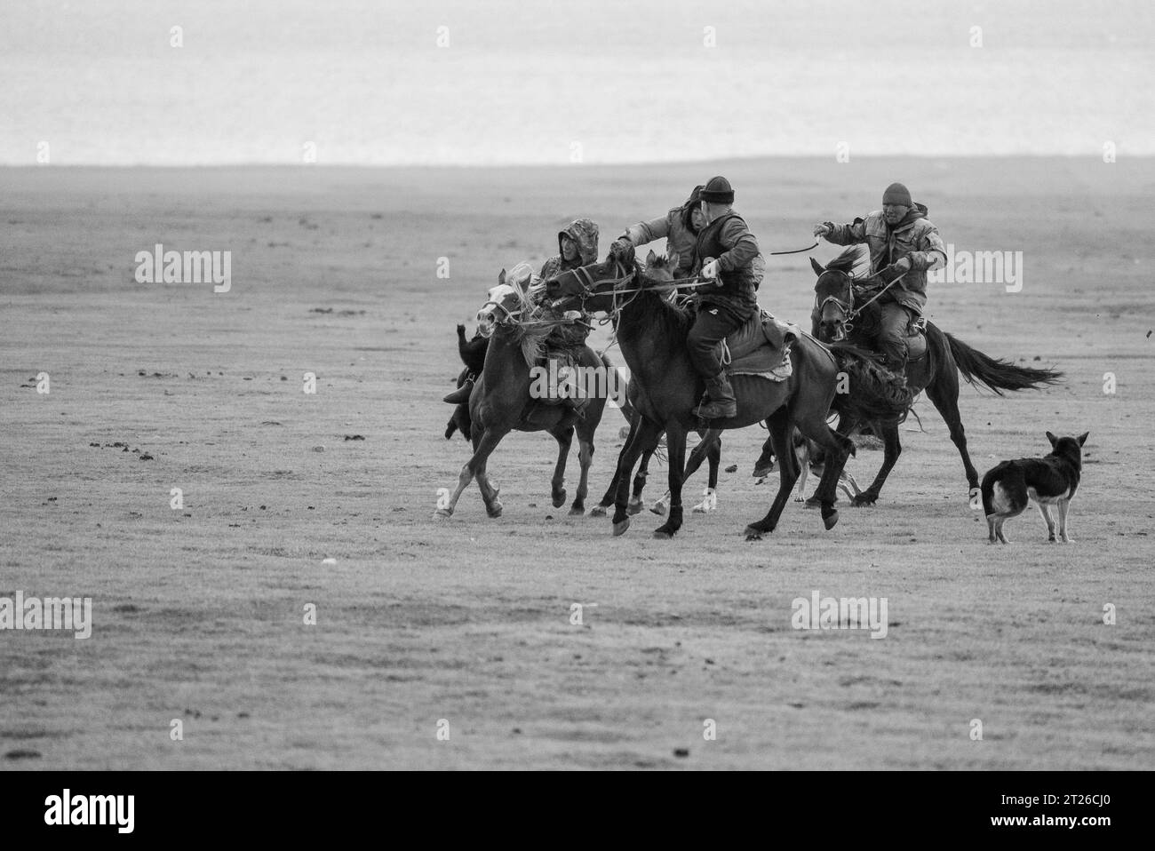 Kok-boru Kyrgyzstan -Buzkashi goat pulling is the national traditional ...
