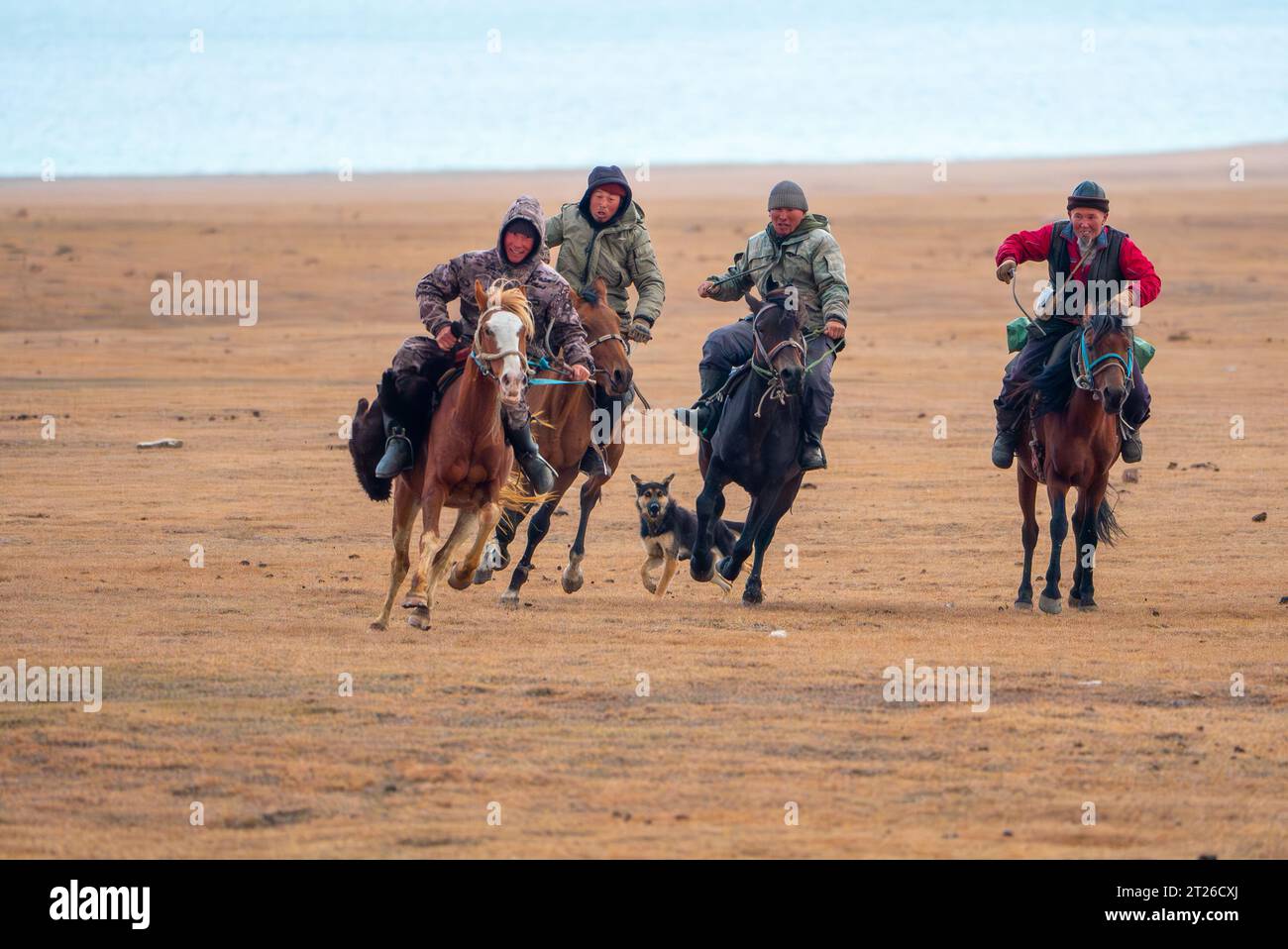 Kok-boru Kyrgyzstan -Buzkashi goat pulling is the national traditional ...