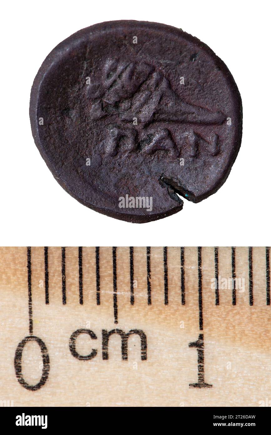 An antique copper coin (halk) of the Bosporus Kingdom of Panticapaeum ...