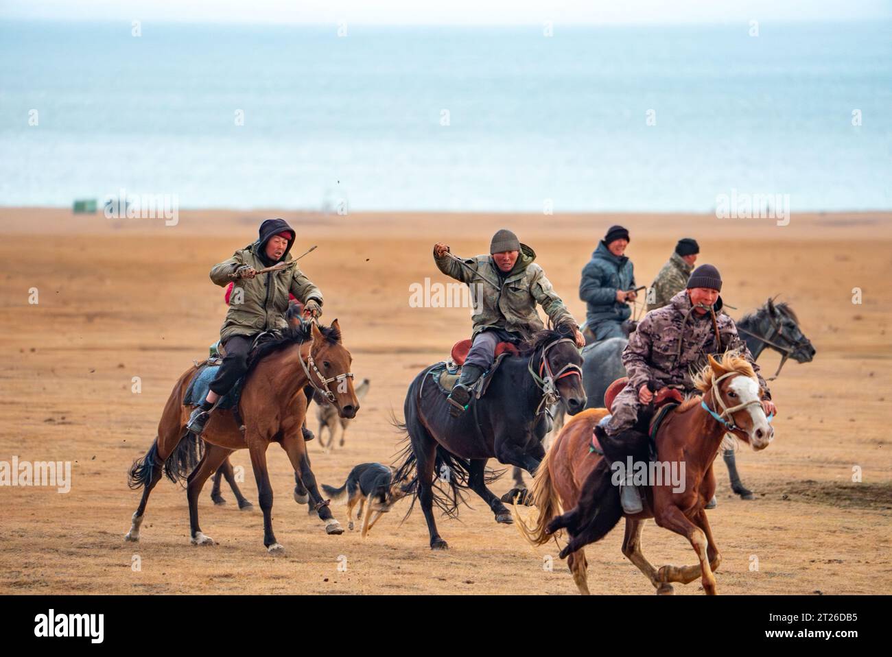 Kok-boru Kyrgyzstan -Buzkashi goat pulling is the national traditional ...