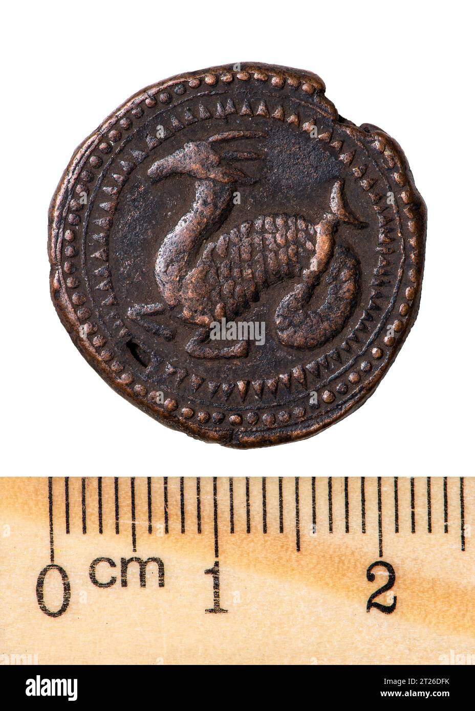 An ancient copper Indian coin depicting sea ibex. Reverse. Isolated on ...