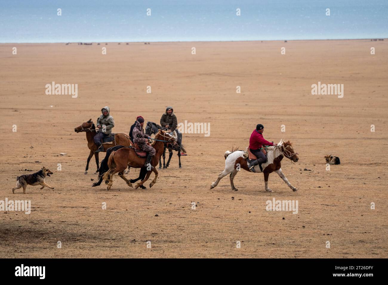 Kok-boru Kyrgyzstan -Buzkashi goat pulling is the national traditional ...