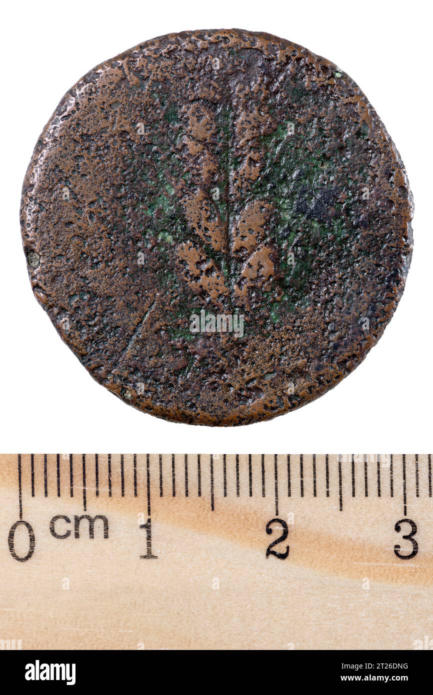 An antique Iberian coin depicting tuna and wheat ear. Reverse. Isolated ...