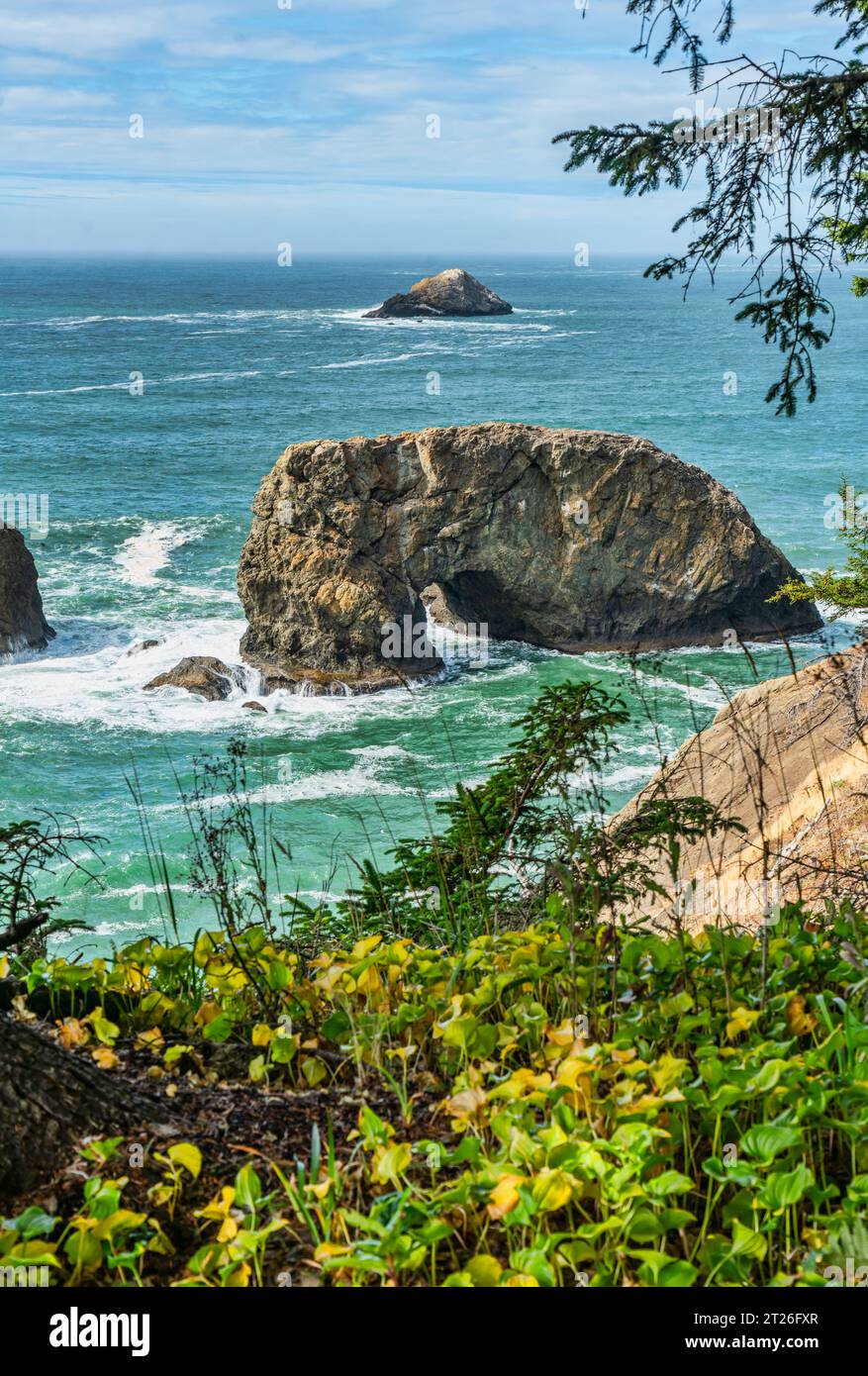 A view of an offshore land arch at Arch Rock State Park in Oregon State ...