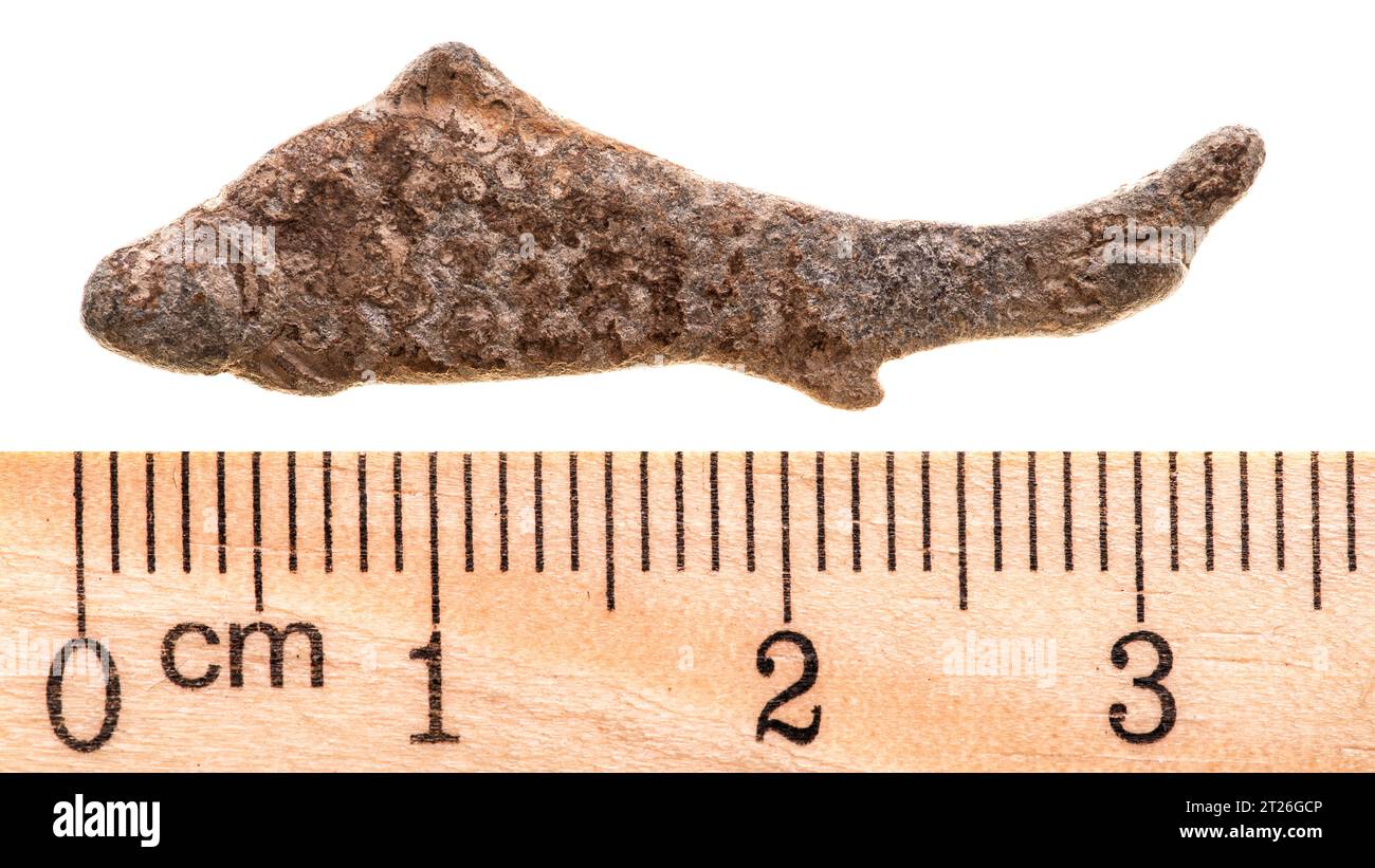 An ancient tin coin of Malaysia in the form of carp. Isolated on white ...