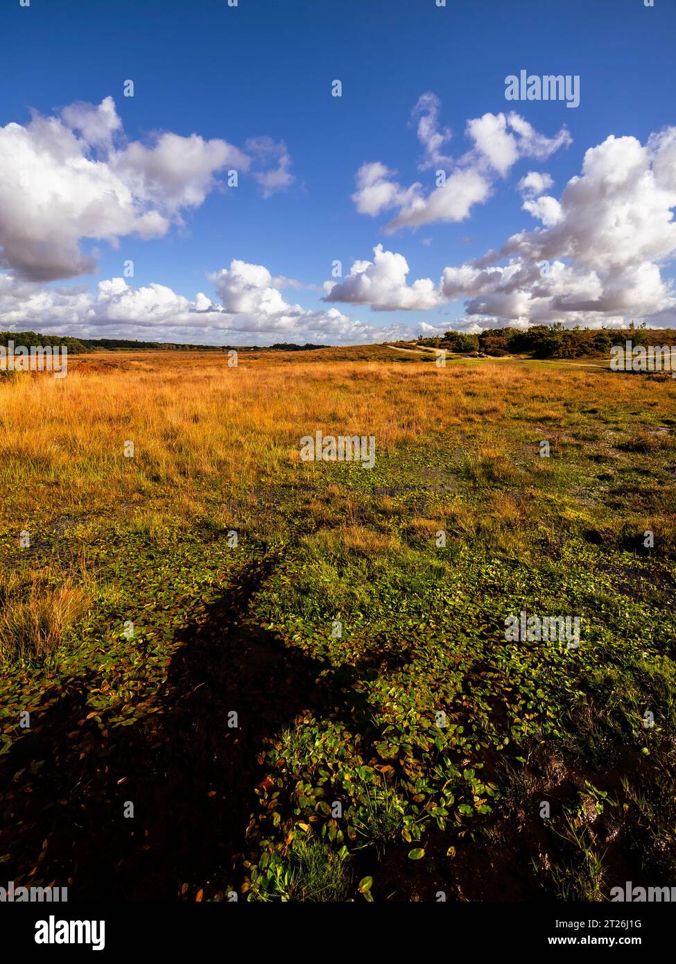 Open landscape hi-res stock photography and images - Alamy