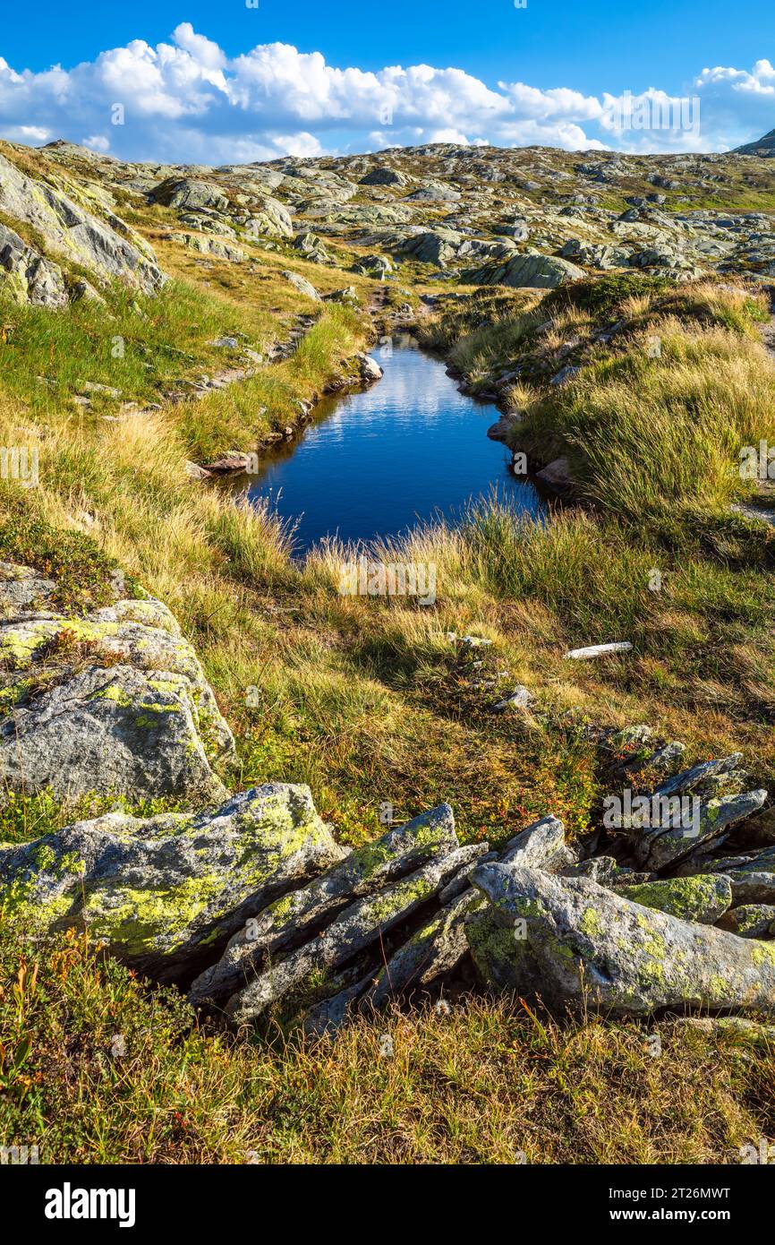 Idyllic nature scene hi-res stock photography and images - Alamy