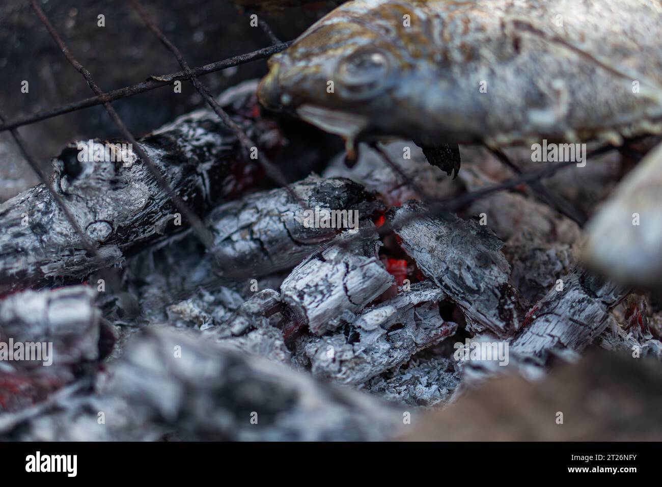 Baked fish on the grill with fire Stock Photo - Alamy