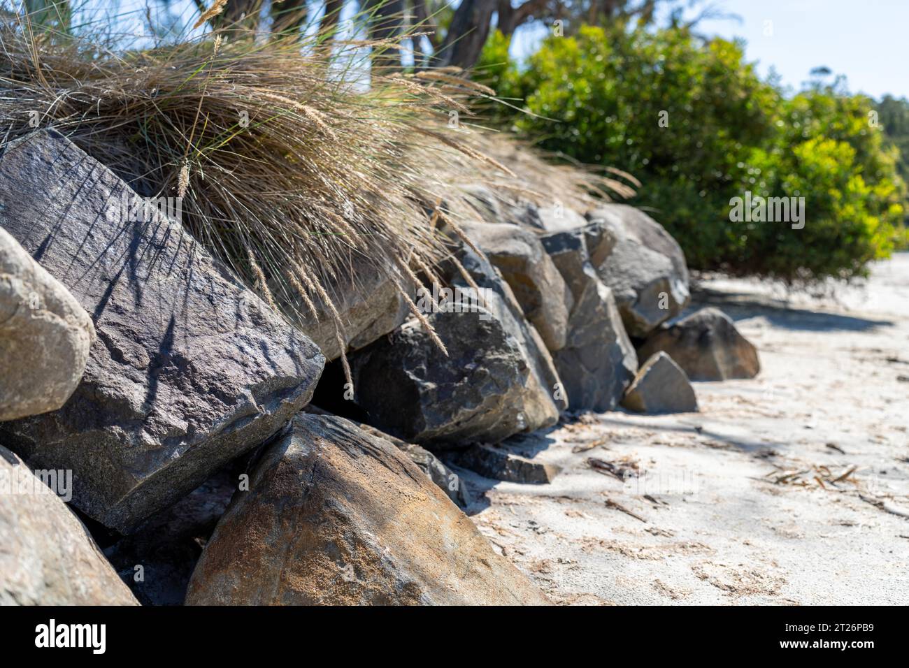 beach rock wall on a sandy beach in australia. ocean wall Stock Photo ...