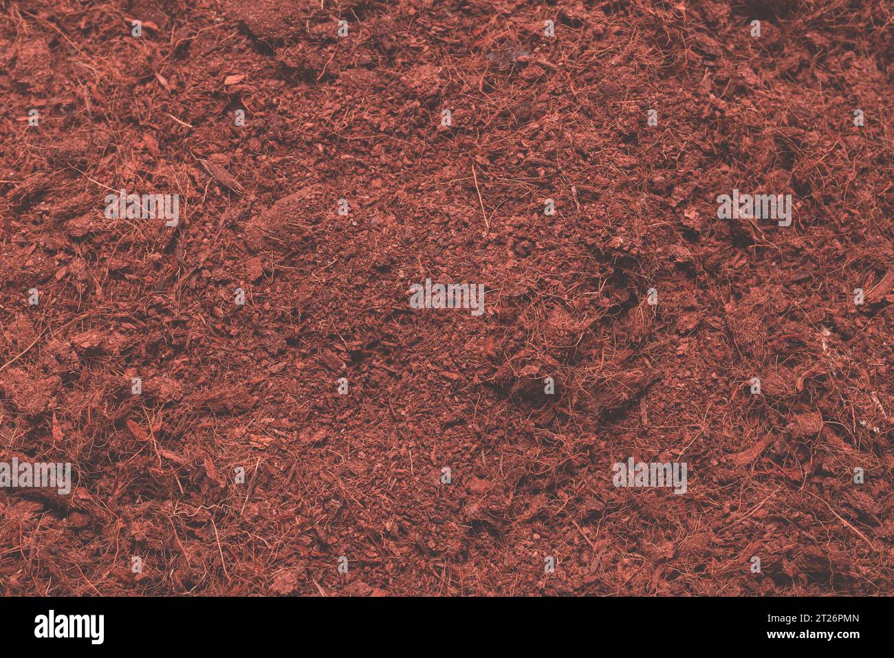 Coconut substrate background. Top view Stock Photo - Alamy
