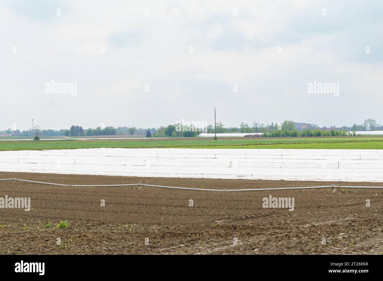 Beds agricultural crops covered hi-res stock photography and images - Alamy