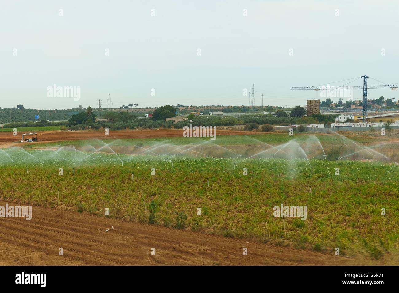 Spraying water from an irrigation system on a potato field in spring ...