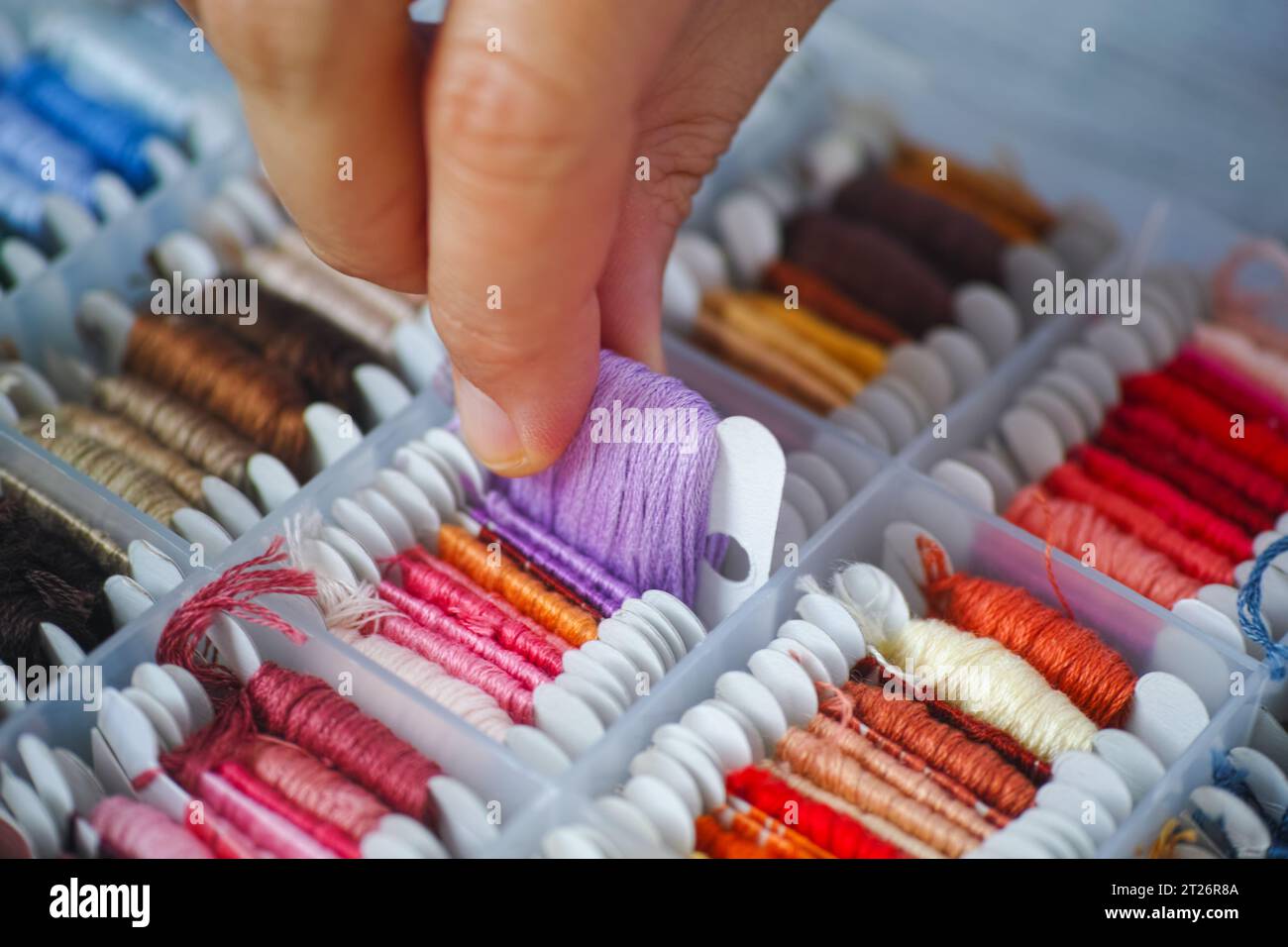 A womans hand taking a bobbin with purple embroidery thread from a ...