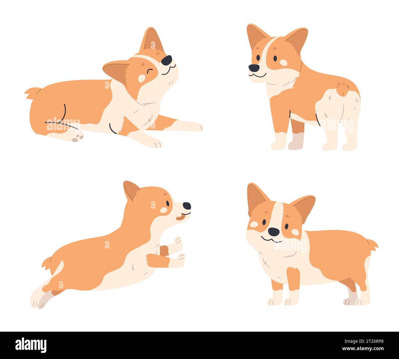Cute cartoon flat corgi dog illustration set Stock Vector Image & Art ...