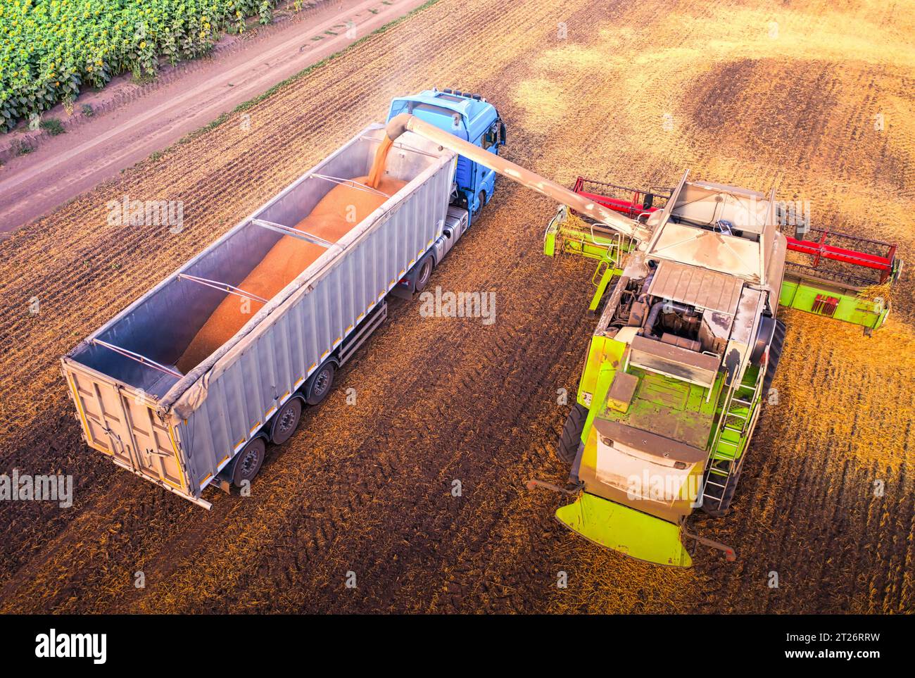 From Field to Transport: Combine Loading Grains into Truck Stock Photo ...