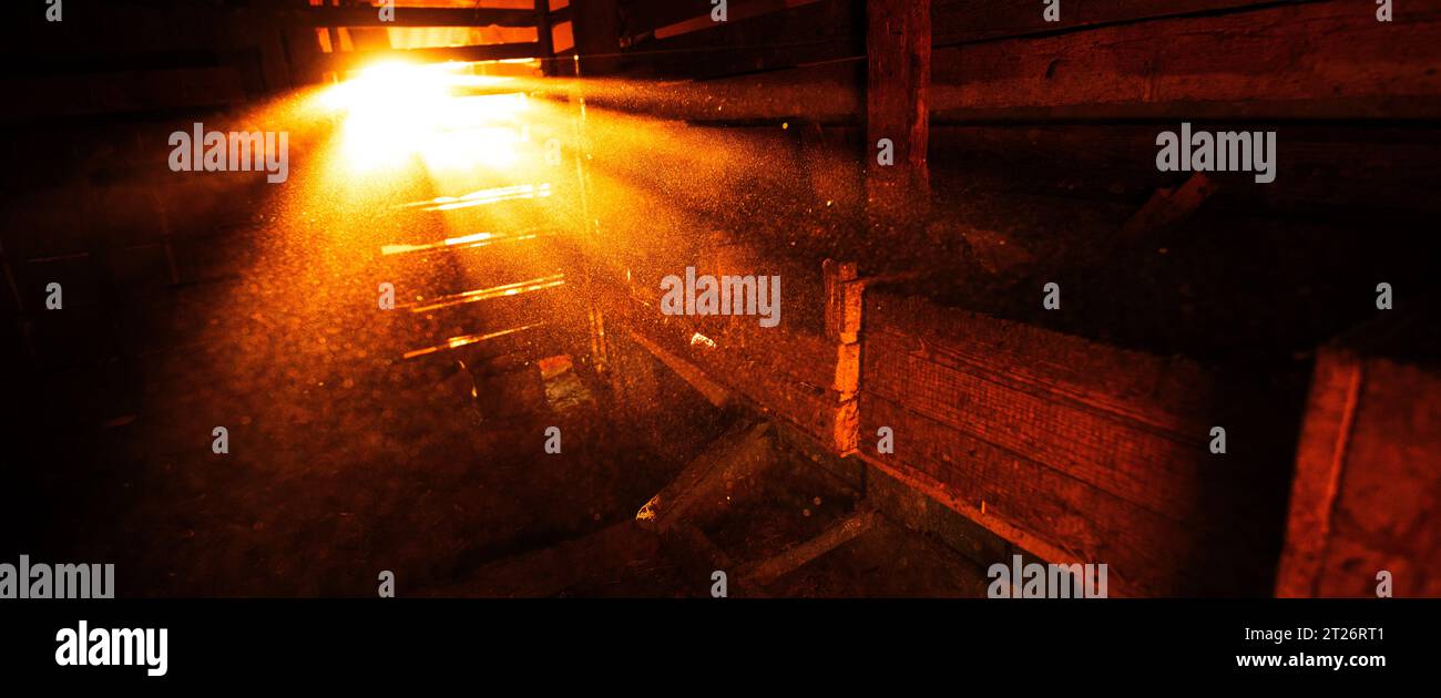 Radiant Rays: Sunlight Breaking Through the Air, Creating a Magical ...