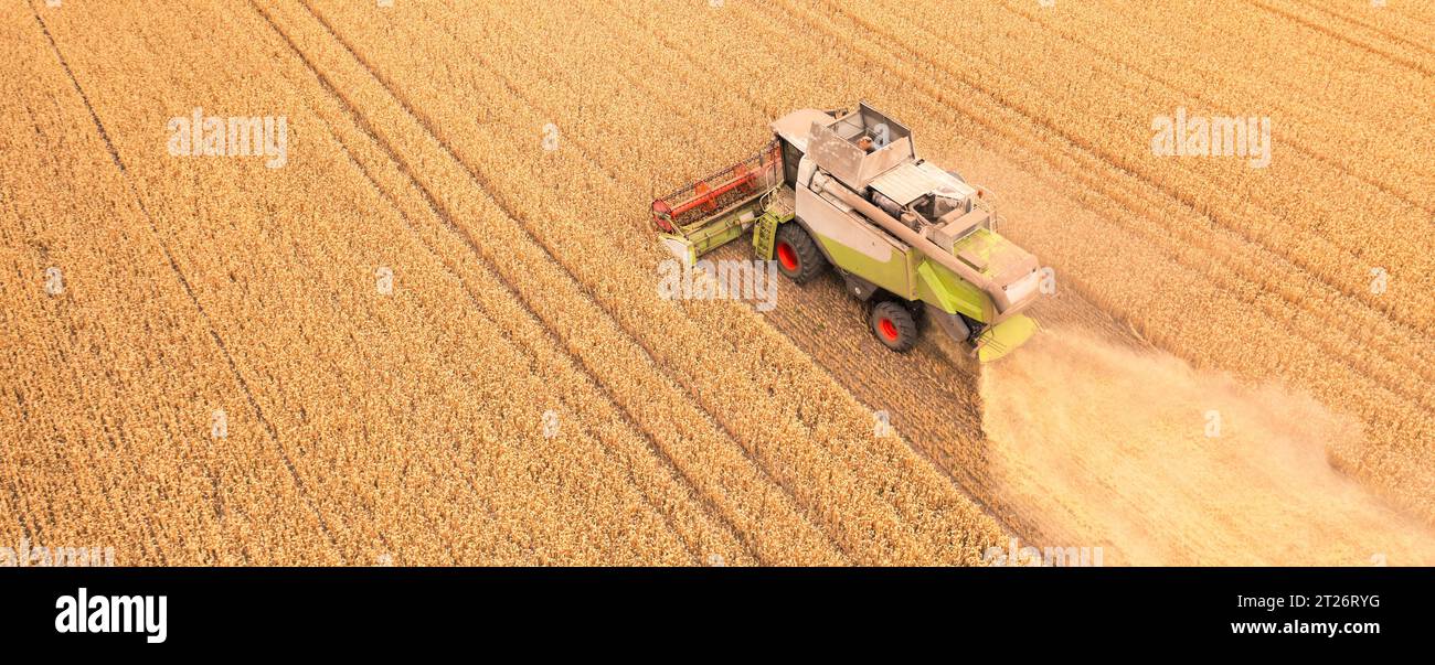 Harvester gathering ripe corn crop hi-res stock photography and images ...