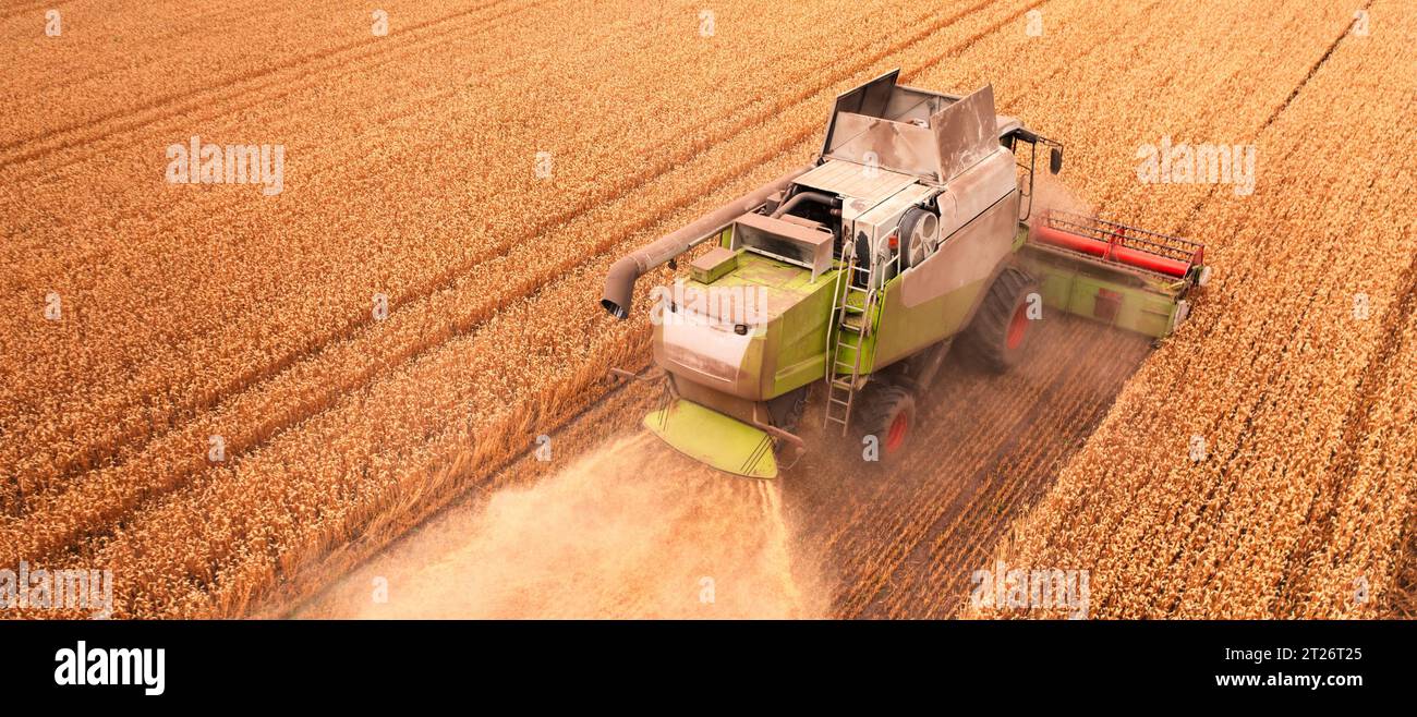 The Harvest Begins: Aerial Glimpse of Wheat Collection Stock Photo - Alamy