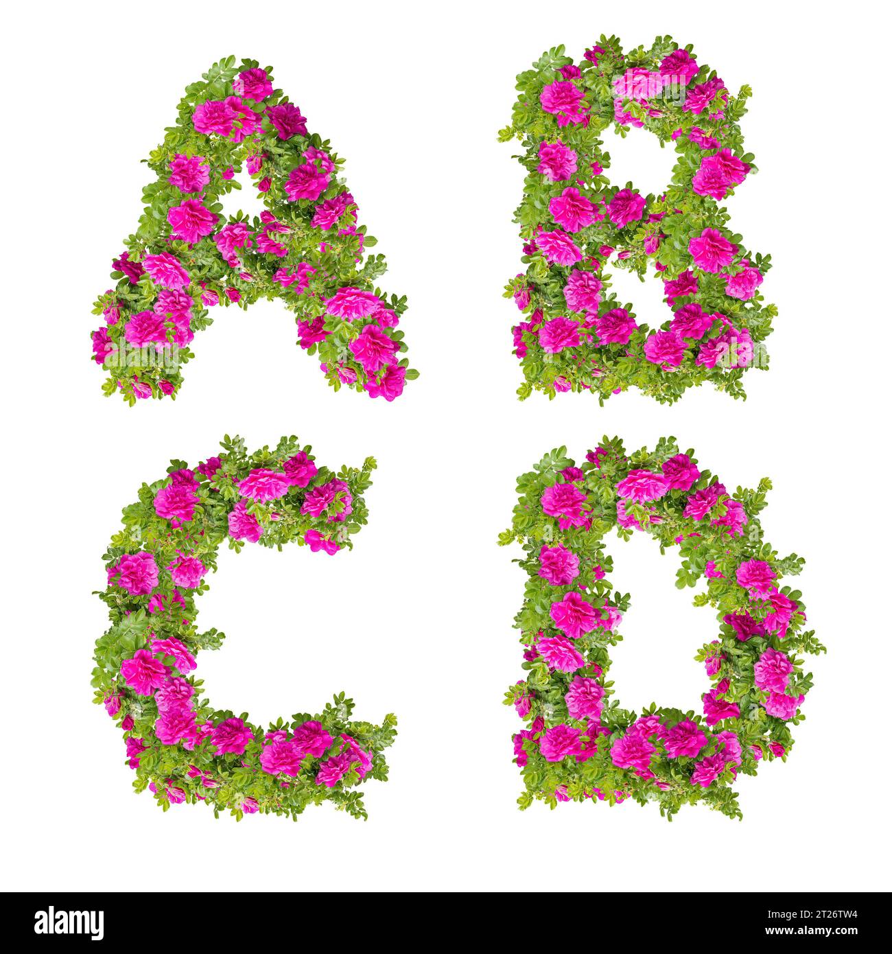 Alphabet with rose hi-res stock photography and images - Alamy