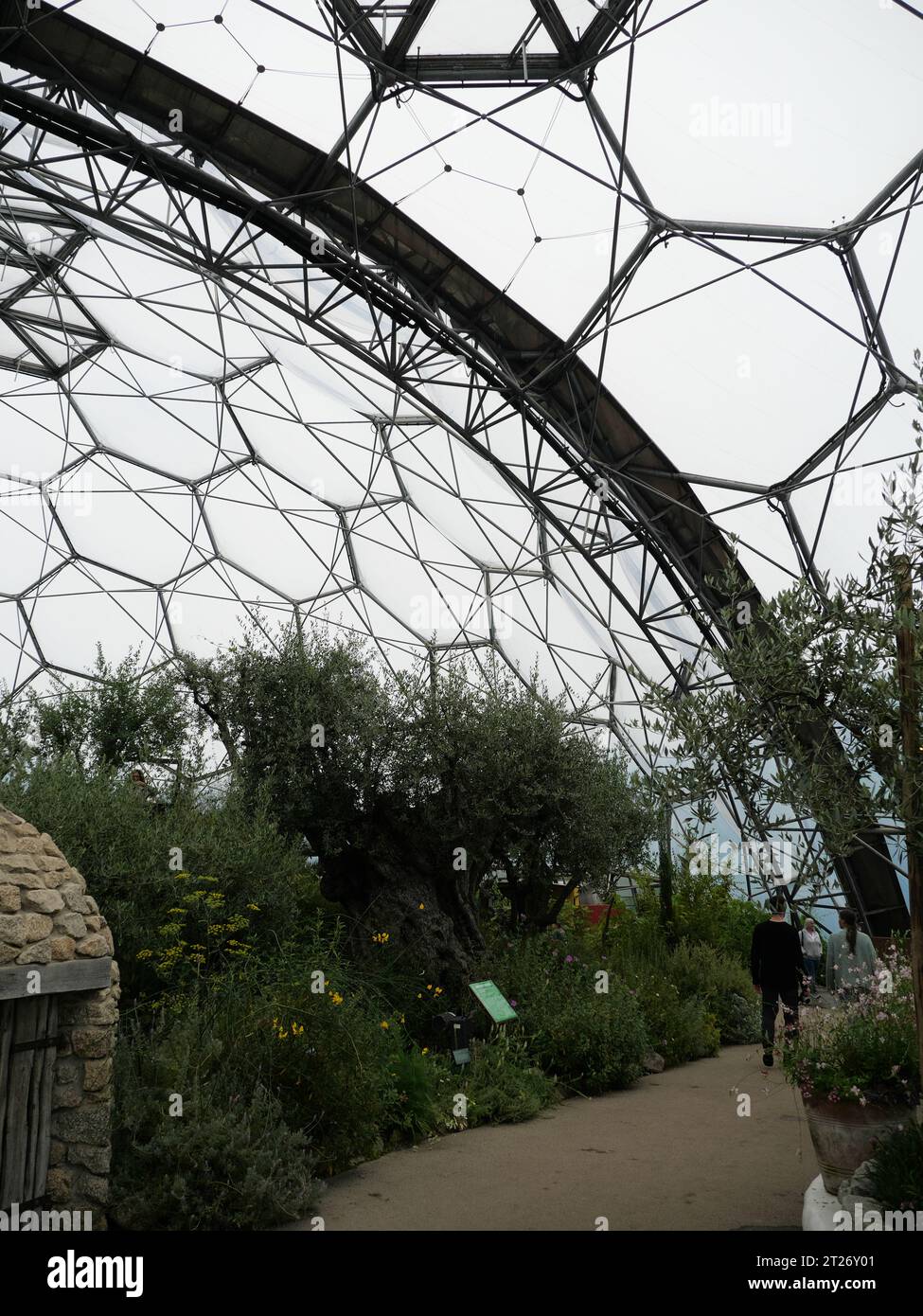 View into the Mediterranean dome of the Eden Project, Bodelva, St ...