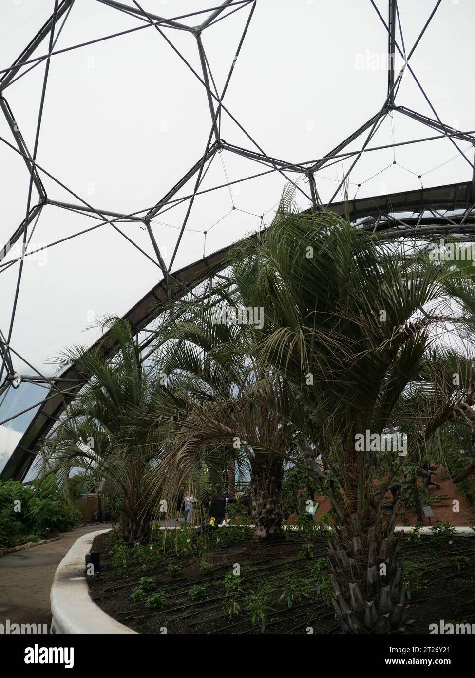 View into the Mediterranean dome of the Eden Project, Bodelva, St ...