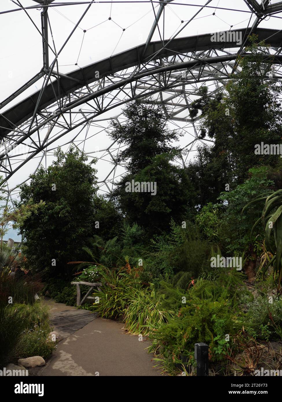 View into the Mediterranean dome of the Eden Project, Bodelva, St ...