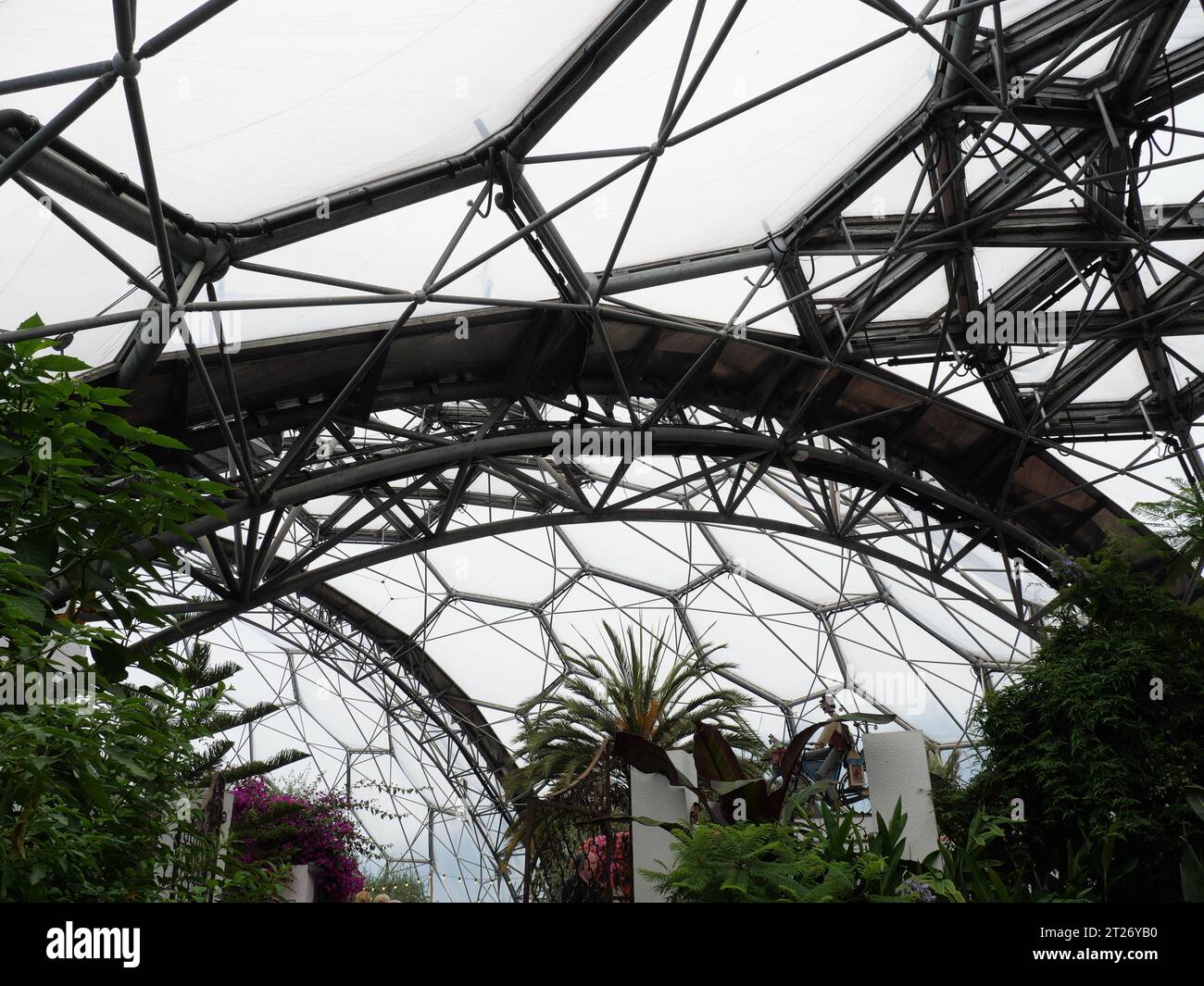 View into the rainforest dome of the Eden Project, Bodelva, St Austell ...