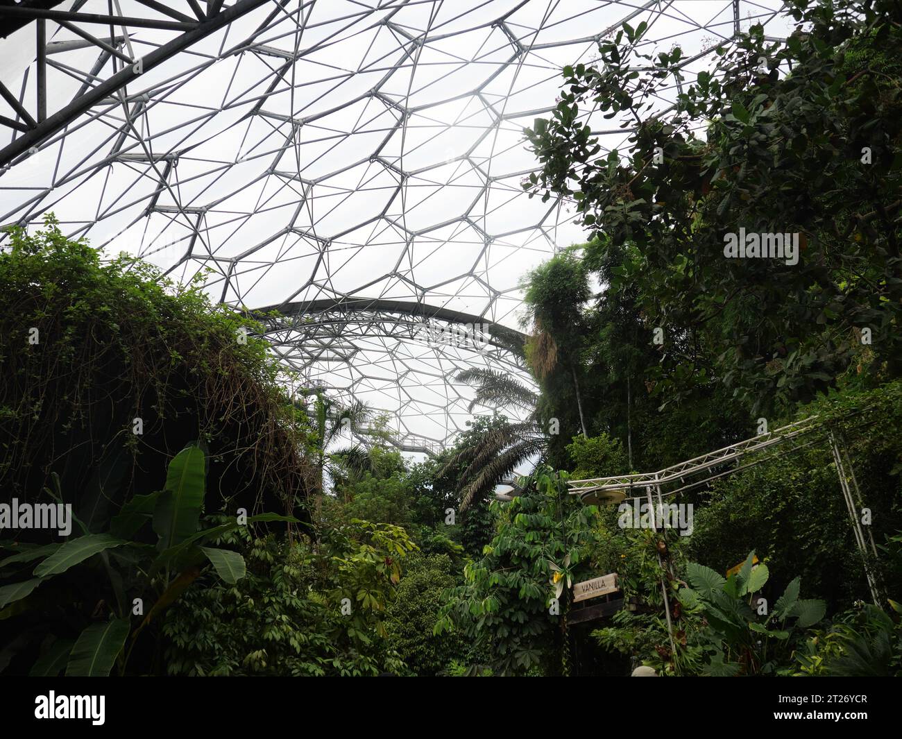 View into the rainforest dome of the Eden Project, Bodelva, St Austell ...