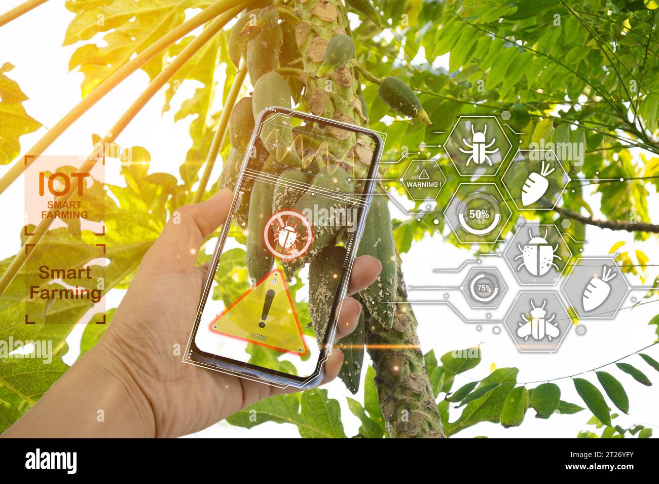 Concept Of Using Ai And Smart Farming Insect Monitoring Of Vegetable